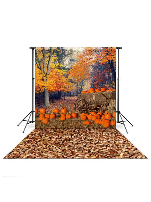 Pumpkin Wagon Backdrop and Fall Leaves Floor Drop Bundle - Denny ...