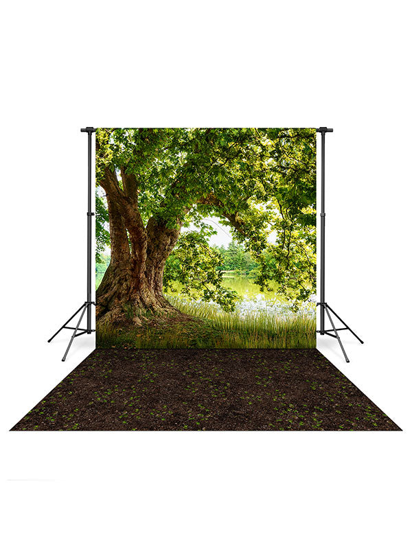Lake Backdrop and Dirt with Grass Floor Drop Bundle - Denny Manufacturing