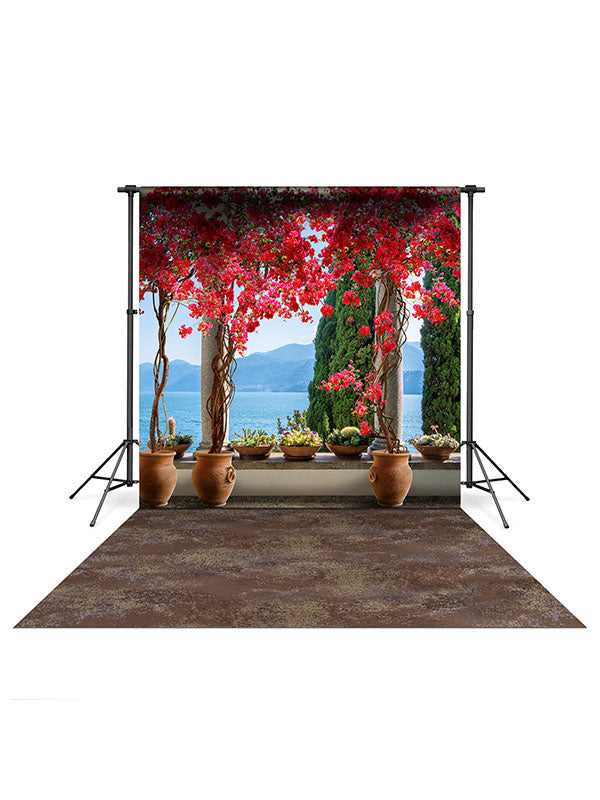 Seaside Terrace Backdrop and Scraped Concrete Floor Drop Bundle - Denny Mfg