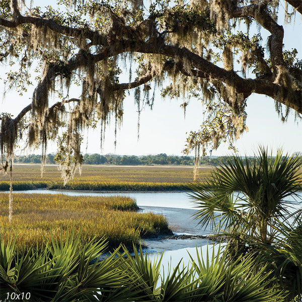 Coastal Marsh View Photography Backdrop - Denny Mfg