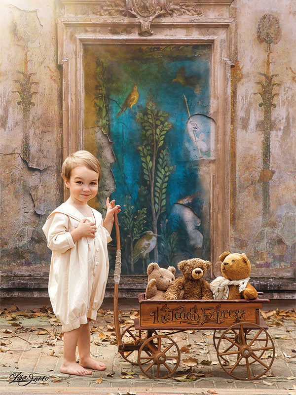 Italian Wall Printed Photo Backdrop - Denny Manufacturing