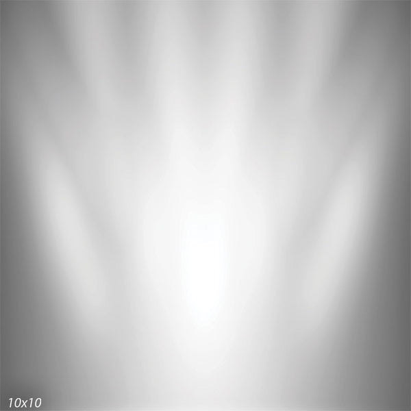 Smoky Radiance Printed Old Masters Photography Backdrop - Denny Mfg