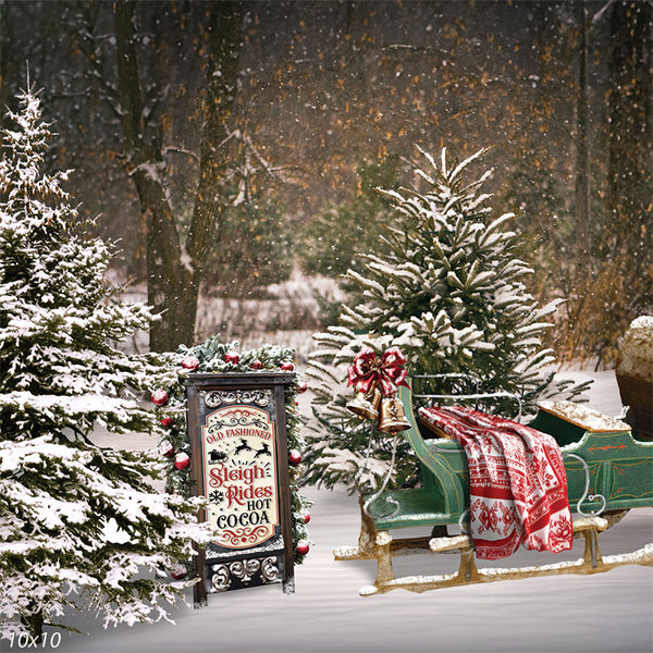 Christmas Sleigh Backdrop - Denny Manufacturing