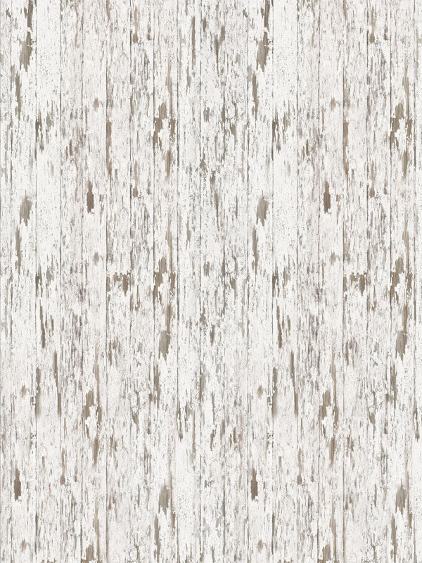 Vintage Frames Backdrop and Whitewash Wood Floor Drop Bundle - Denny Mfg