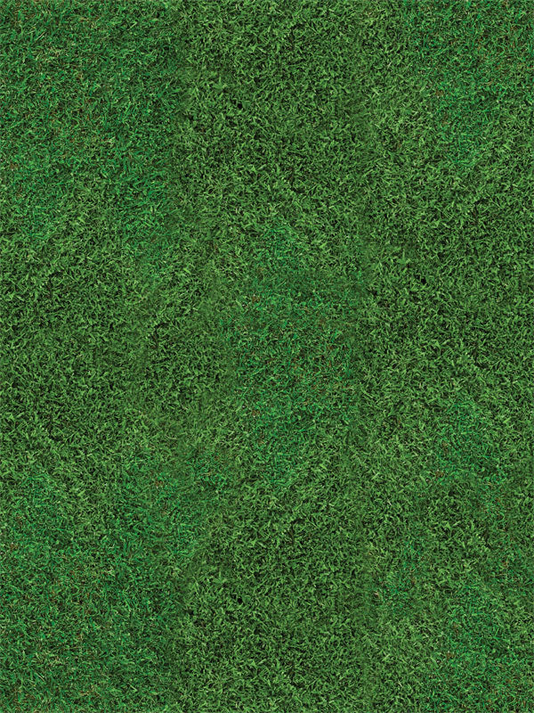 Sports Field Backdrop and Grass Floor Drop Bundle - Denny Mfg