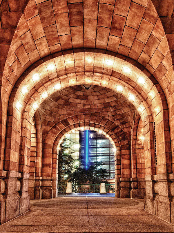 Pittsburgh Arches Photography Backdrop - Denny Mfg