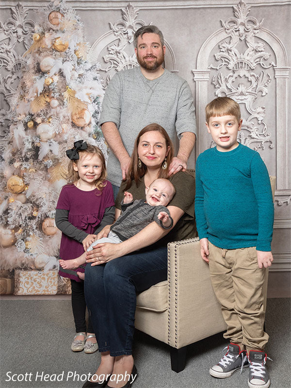 White & Gold Christmas Printed Photo Backdrop - Denny Manufacturing