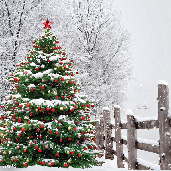 Real Christmas Tree Background