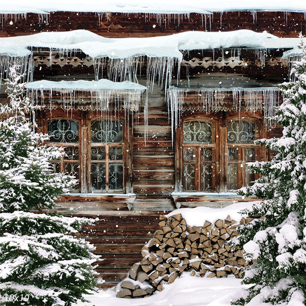 Rustic Winter Cabin Backdrop - Denny Manufacturing