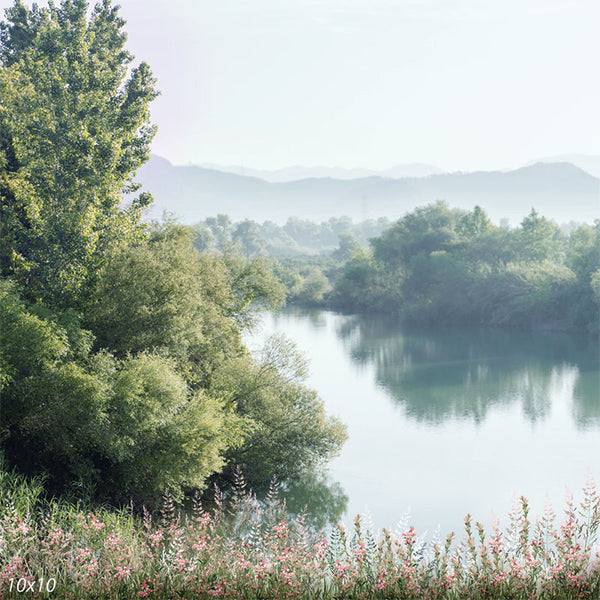 Hazy Summer Backdrop for Photos - Denny Mfg