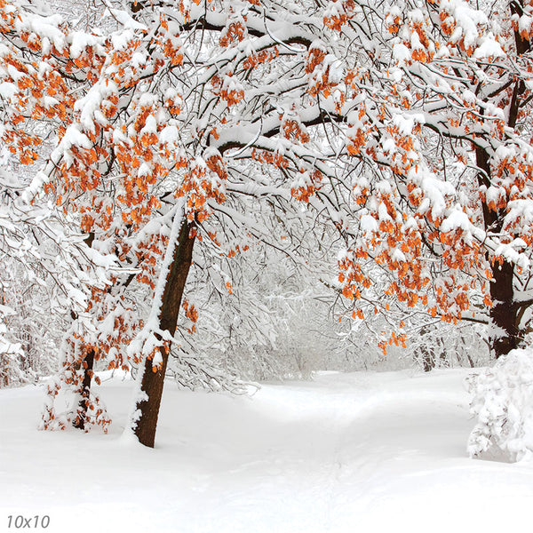 First Snow Photo Backdrop 8 x 8 Freedom Cloth (Printed) Sewn 3” Top Po ...