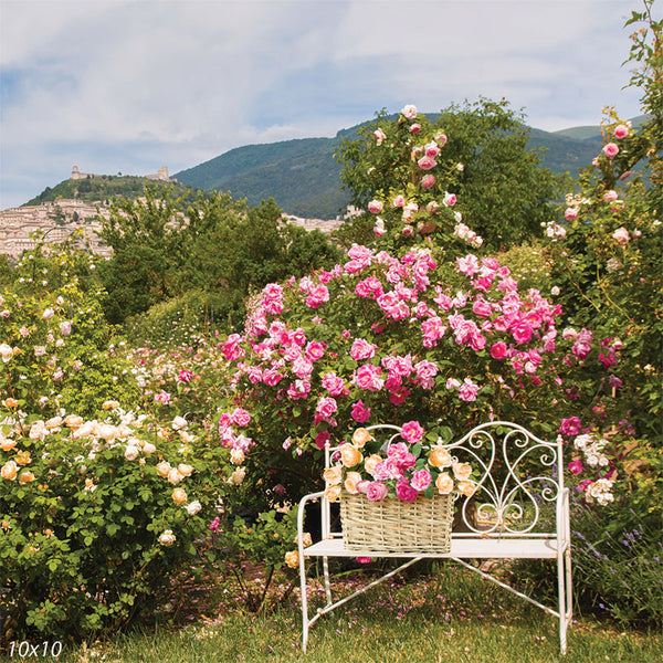 Valley of Roses Backdrop - Denny Mfg