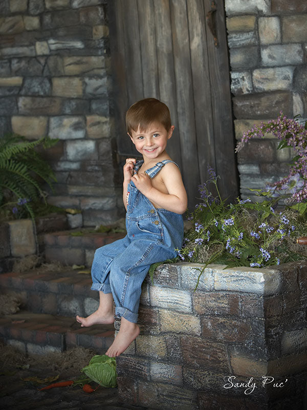 Country Cottage Scenery Prop Set - Denny Manufacturing