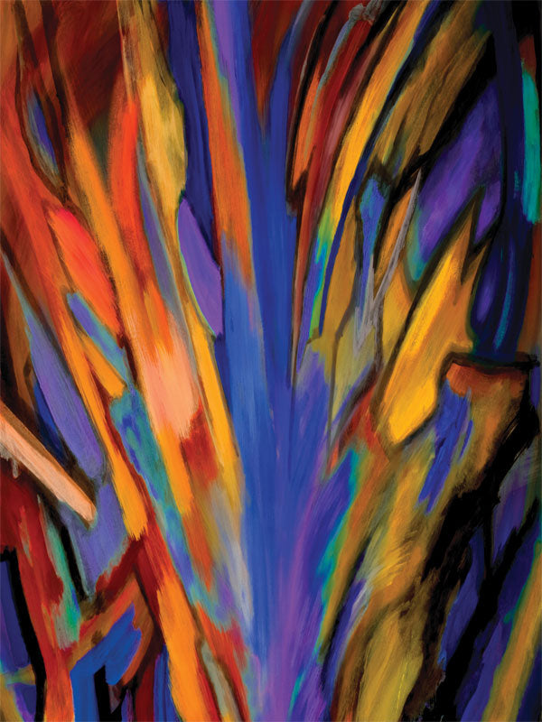 Loco Poco Photography Backdrop – Abstract Multicolor Brushstroke ...