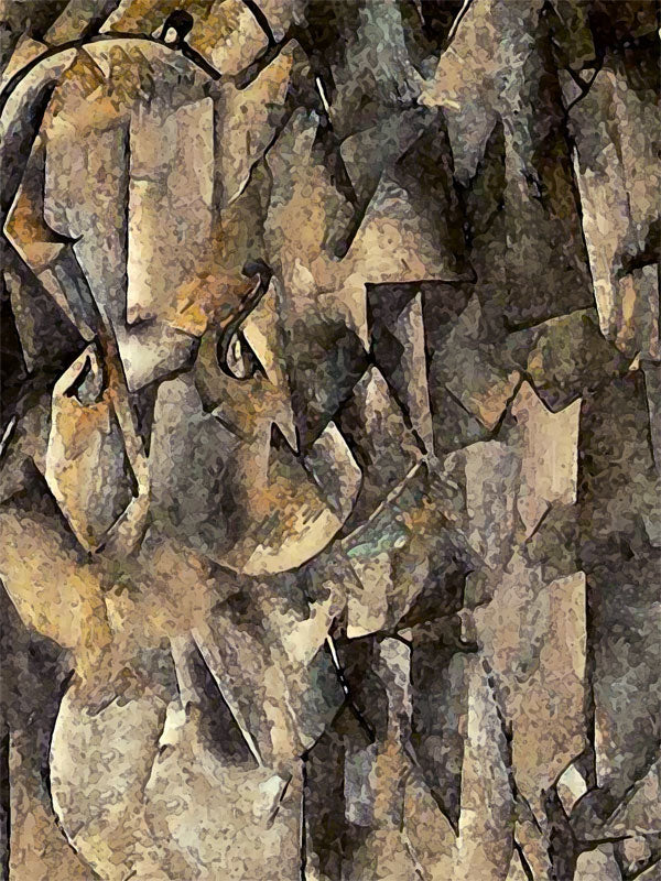 Camo Abstract Neutral Photography Backdrop for Studio Shoots - Denny ...