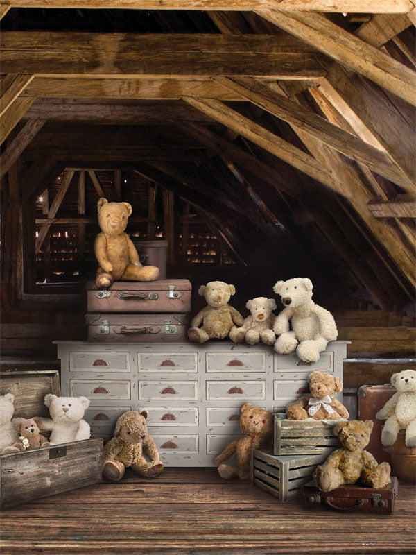 Vintage Attic Photography Backdrop - Granny's Attic - Denny Manufacturing