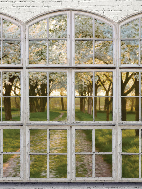 Spring Window Photography Backdrop - Denny Mfg