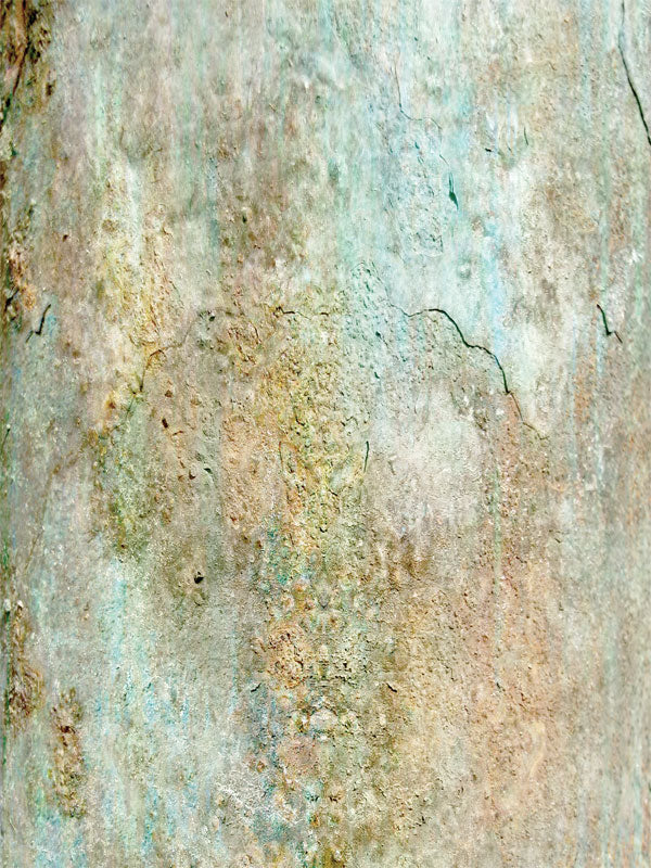 Modernistic Distressed Texture Photography Backdrop for Portrait ...