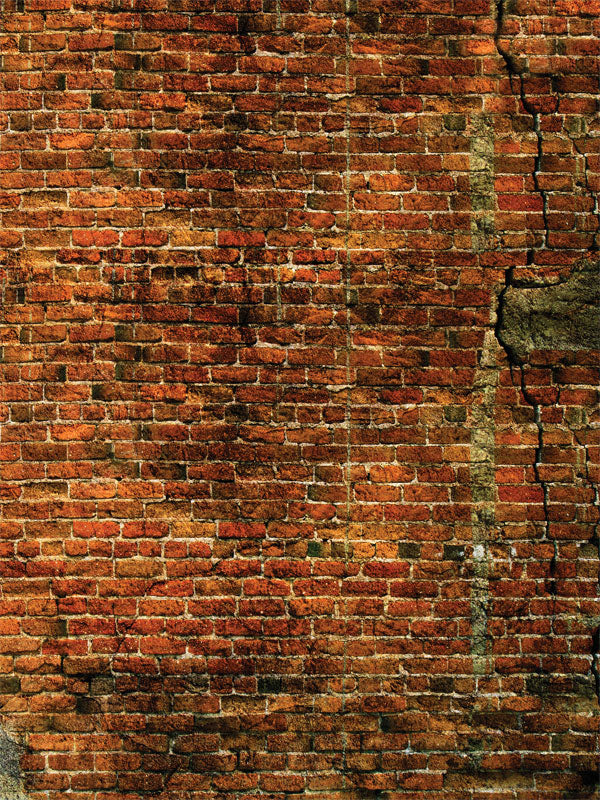 Improv Brick Wall Photography Backdrop for Urban Portraits - Denny ...