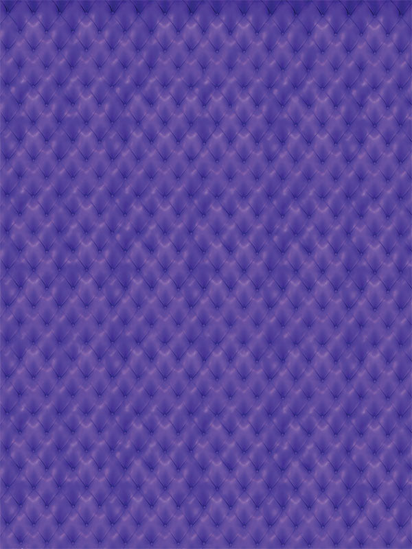 Purple Diamond Tuft Photo Backdrop for Glamorous & Fashion Photography ...