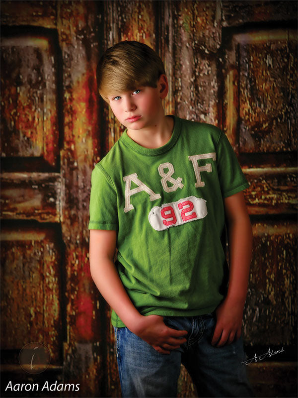 Denmark Doors Photography Backdrop – Rustic Nordic Double Door Scene ...