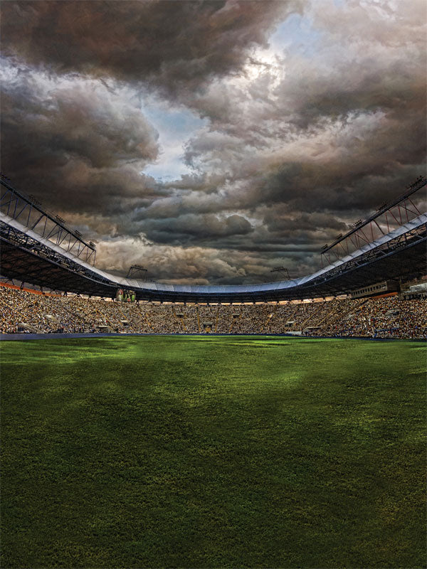 Sports Field Printed Photo Backdrop - Denny Manufacturing