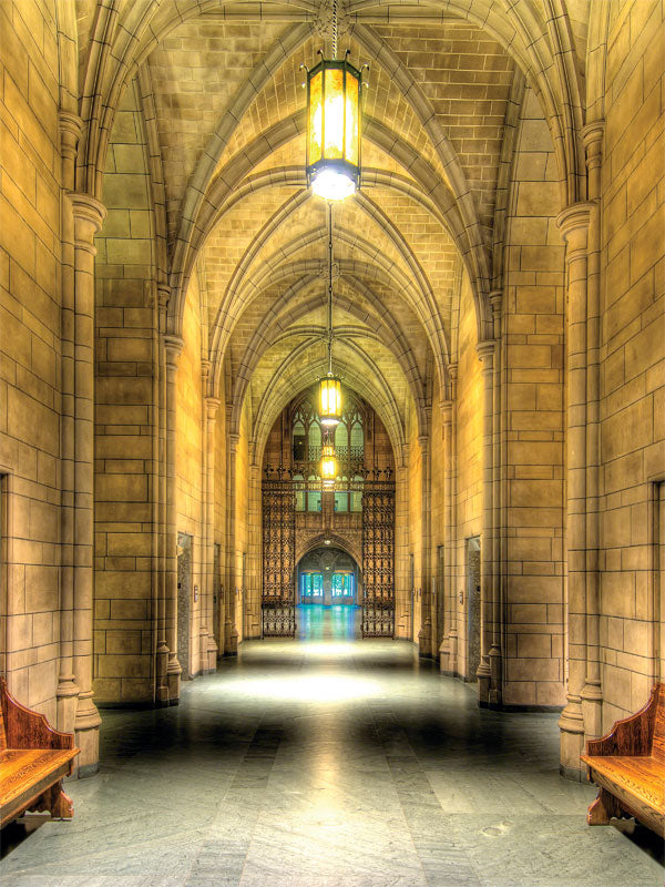 Cathedral of Learning Printed Photography Backdrop - Denny Manufacturing