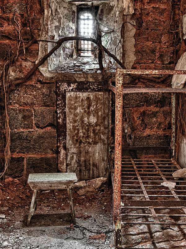 Cell Printed Photography Backdrop - Denny Manufacturing