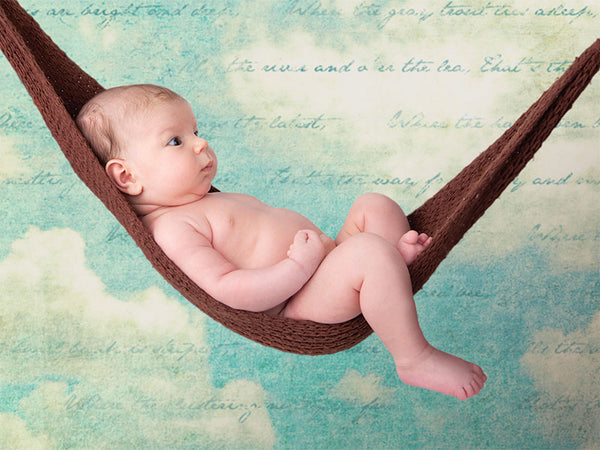 Daydream Cloud Photography Backdrop - Denny Mfg