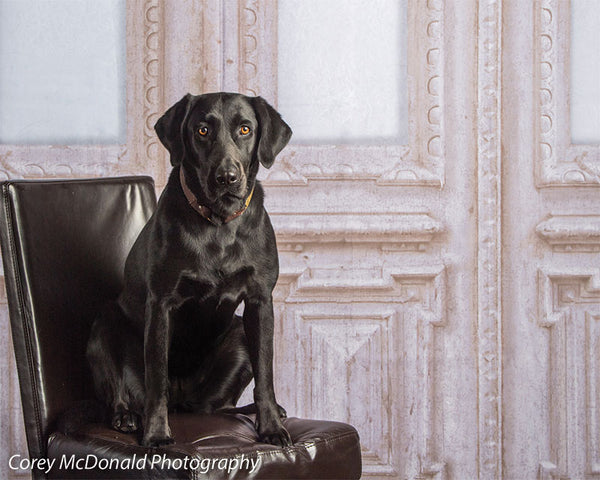 Grand Hall Printed Photography Backdrop - Denny Mfg