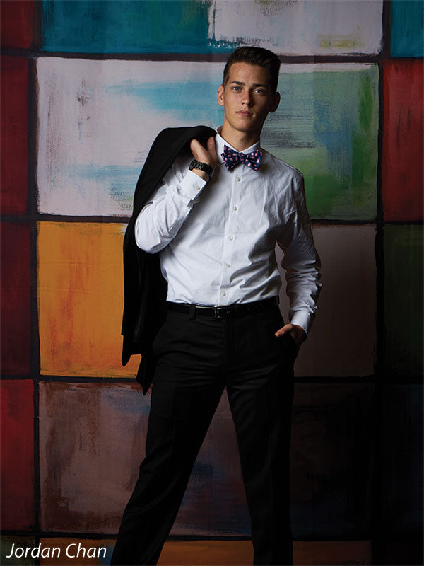 Color Block Abstract Photography Backdrop - Denny Manufacturing