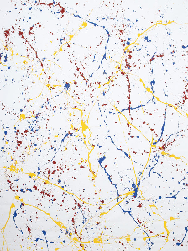 Recess Hand Painted Photo Backdrop - Denny Mfg